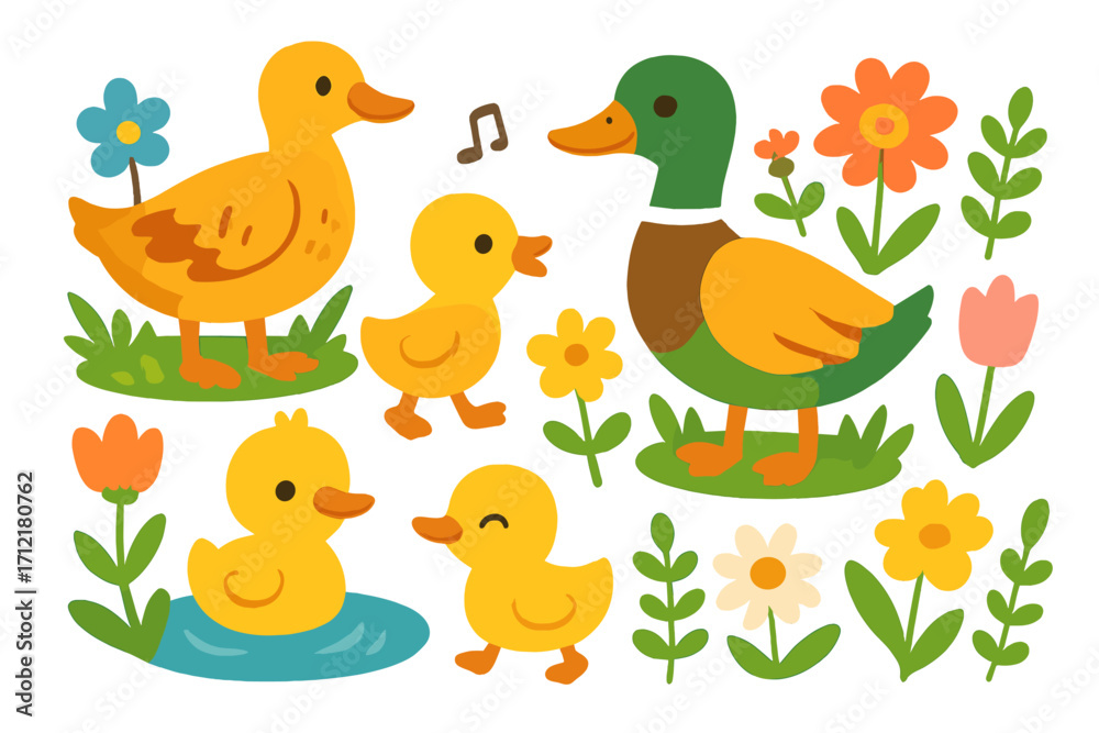 Cute duck family vector illustration set. Cartoon ducklings, drake, and ...