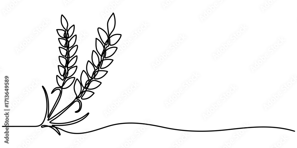 Continuous one line drawing of wheat. Barley or Rye outline vector ...