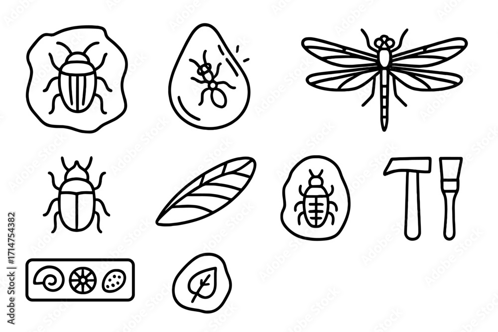 Paleontology Icon Collection. Line style icons of paleontology: extinct ...