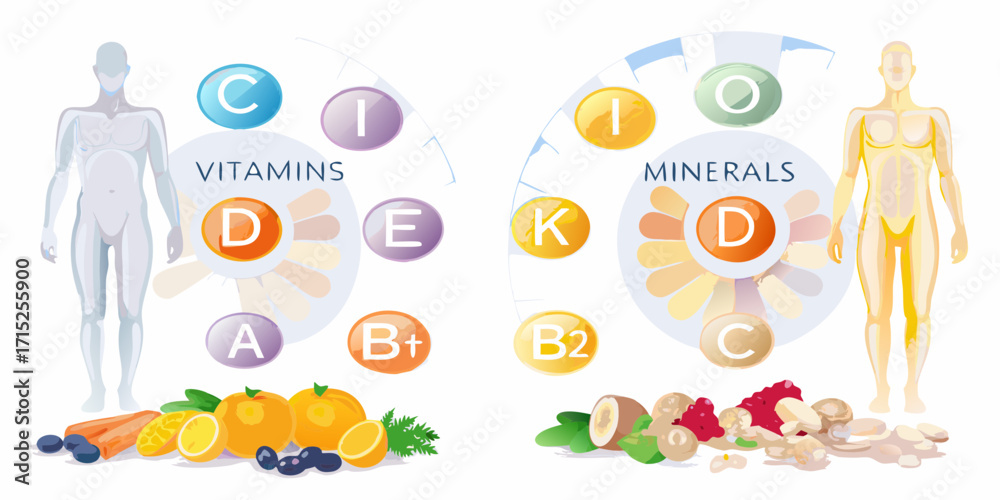 Human body diagram illustrating essential vitamins and minerals with ...