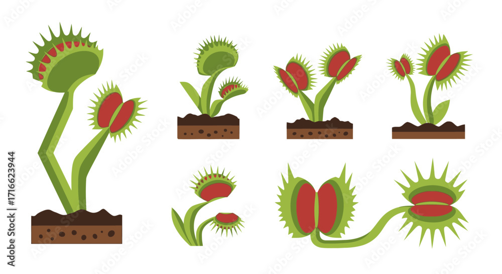 Collection of flat vector Venus flytrap illustrations with spiky green ...