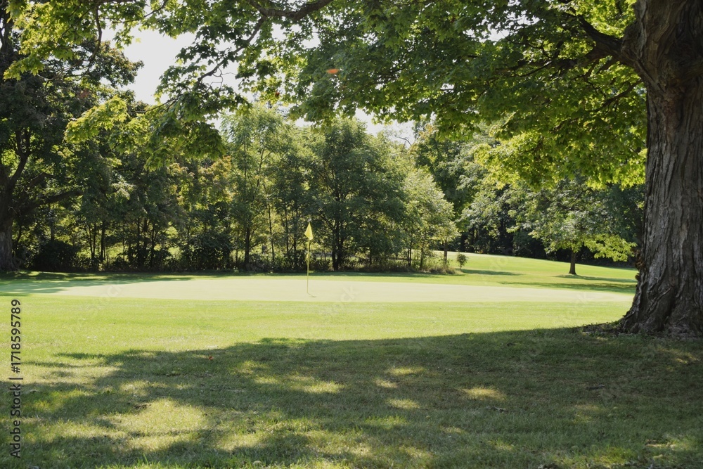 Golf course putting green and partial fairway view showing the goal of ...