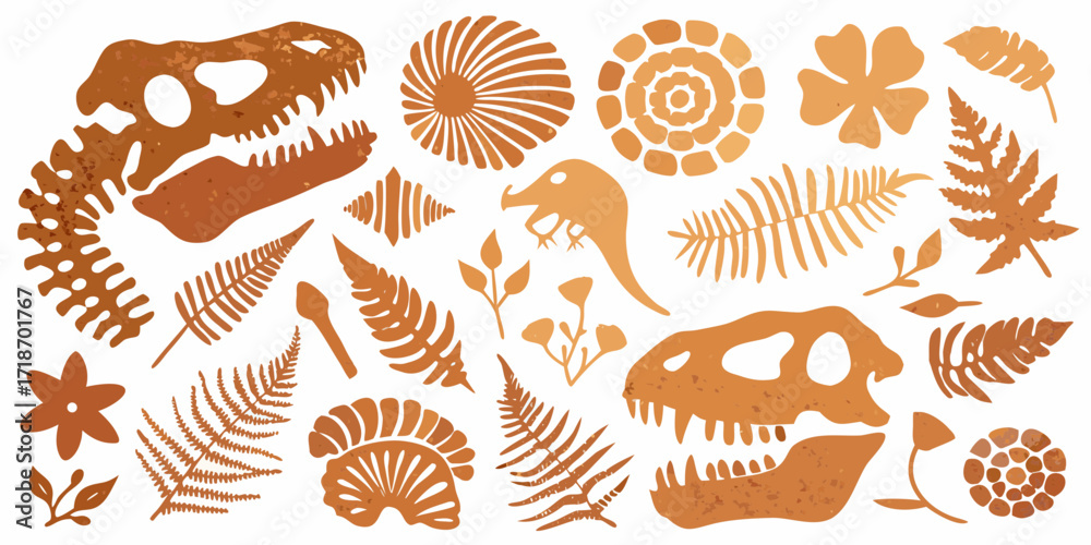 Collection of dinosaur fossils and prehistoric plant elements in warm ...