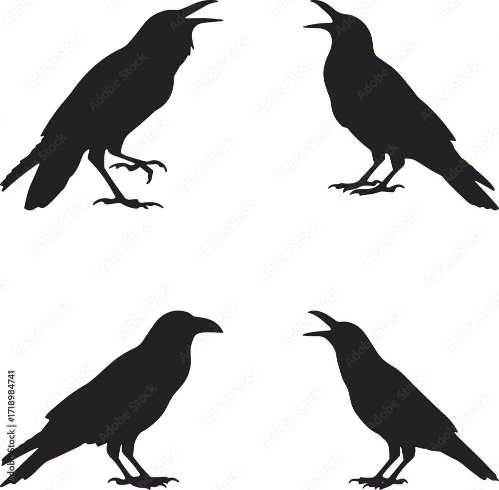 Image vectorielle Stock Four silhouette crows perched calling avian ...