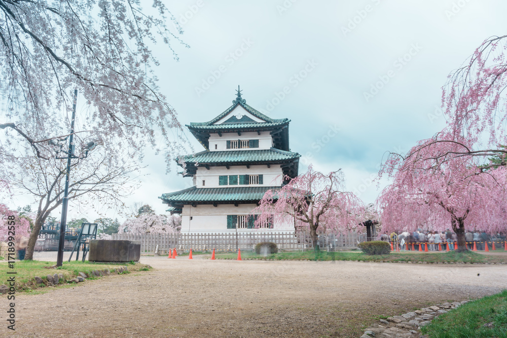 Beautiful Hirosaki Castle park with Sakura Cherry Blossom and Iwaki ...
