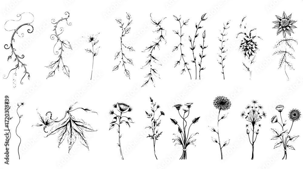 "Hand-drawn pen-and-ink botanical designs arranged in rows. The ...