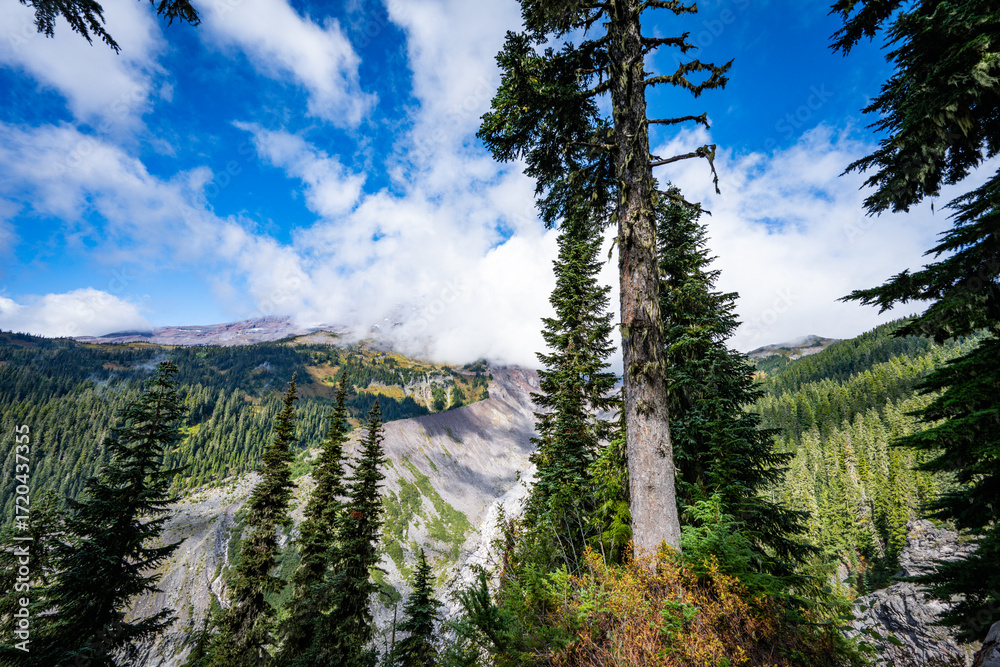 Mount Ranier National Park near Paradise with Glacier and Snow in the ...