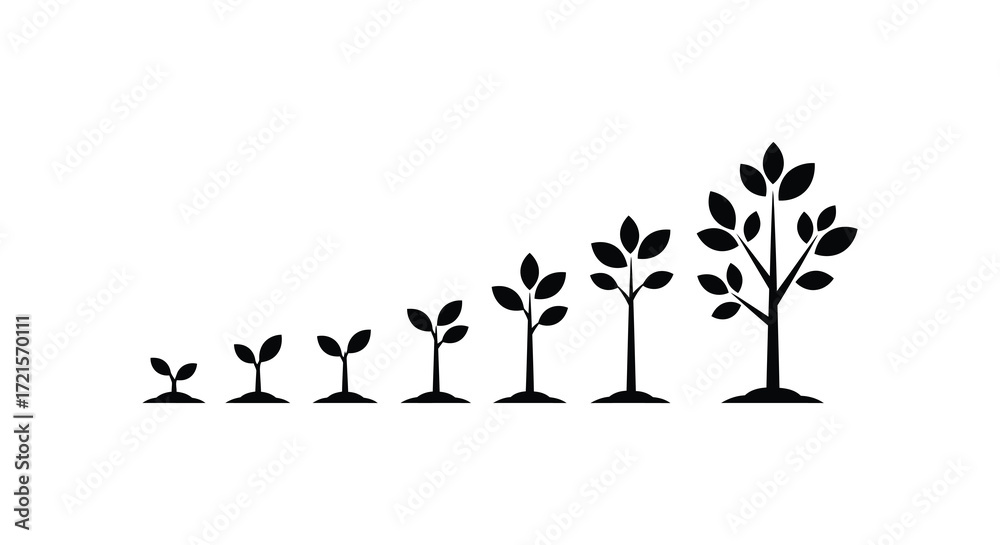 Vector de Stock Illustrative depiction of a tree s growth stages from a ...