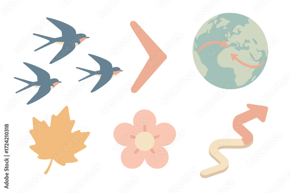 Swallow Migration Journey. Isometric vector illustration set migration ...