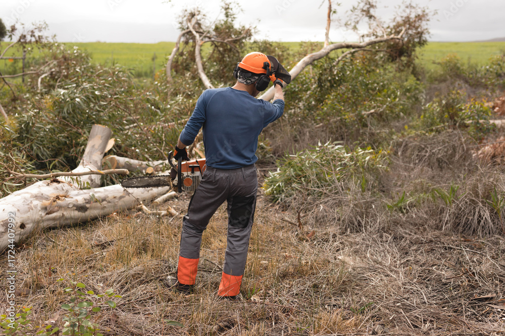 Adult male logger gripping chainsaw and wearing helmet and chaps by ...