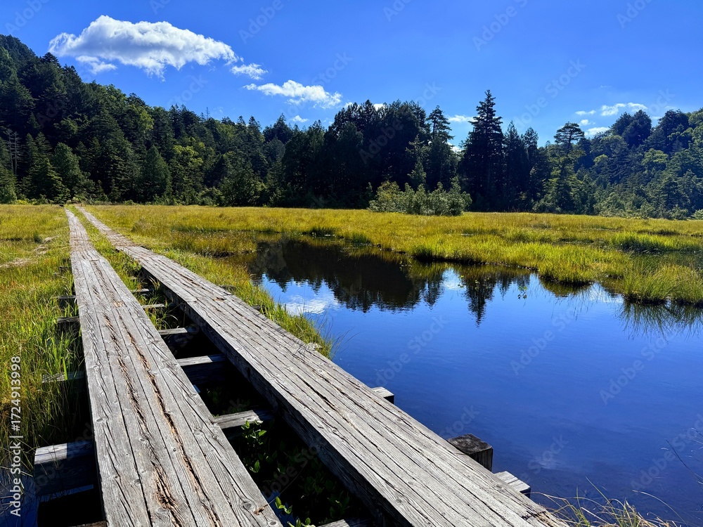 Shirasuna Toge with Wooden Boardwalk near Ozenuma Lake and Ozegahara ...
