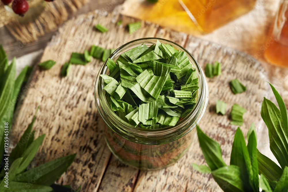 Glass jar filled with chopped ribwort plantain syrup leaves and sugar ...