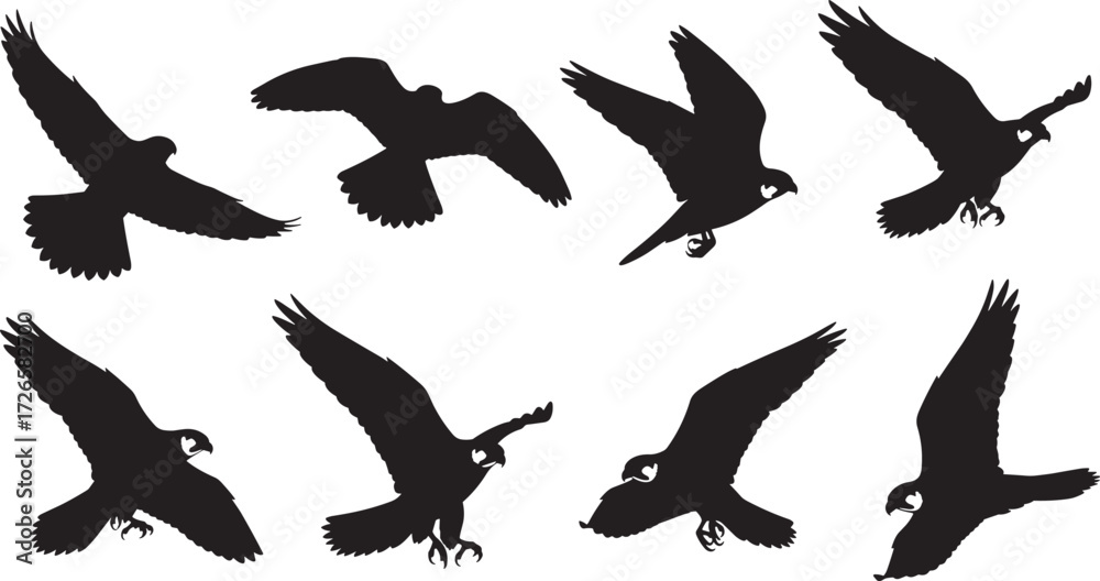 Birds of prey silhouette, falcons in flight, hunting poses, dynamic ...