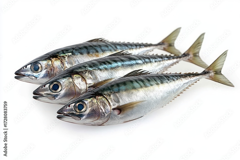 Three fresh whole mackerel fish laid side by side on a white background ...