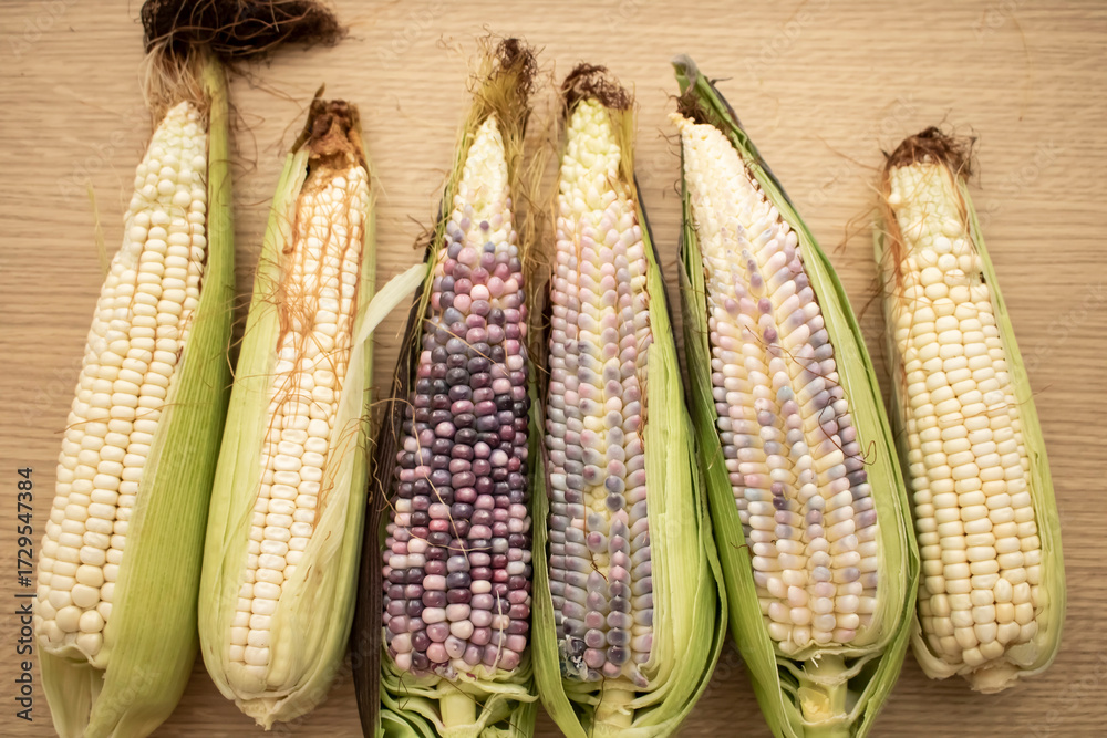 Foto de Stock the husks are peeled off a purple corn, revealing its ...