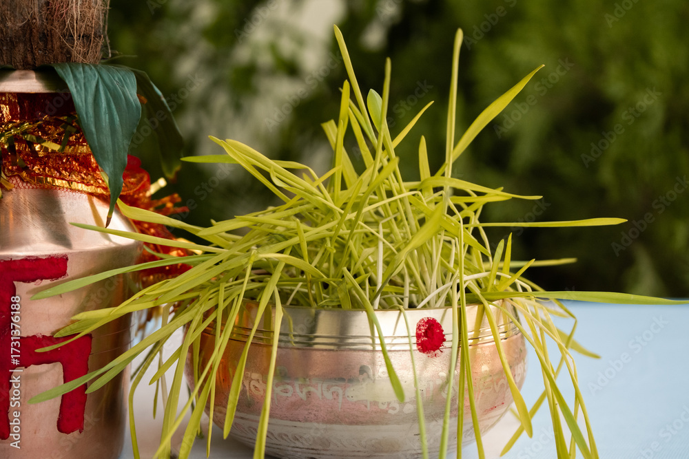 Ghatasthapana, the first day of Dashain in Nepal, where barley seeds ...