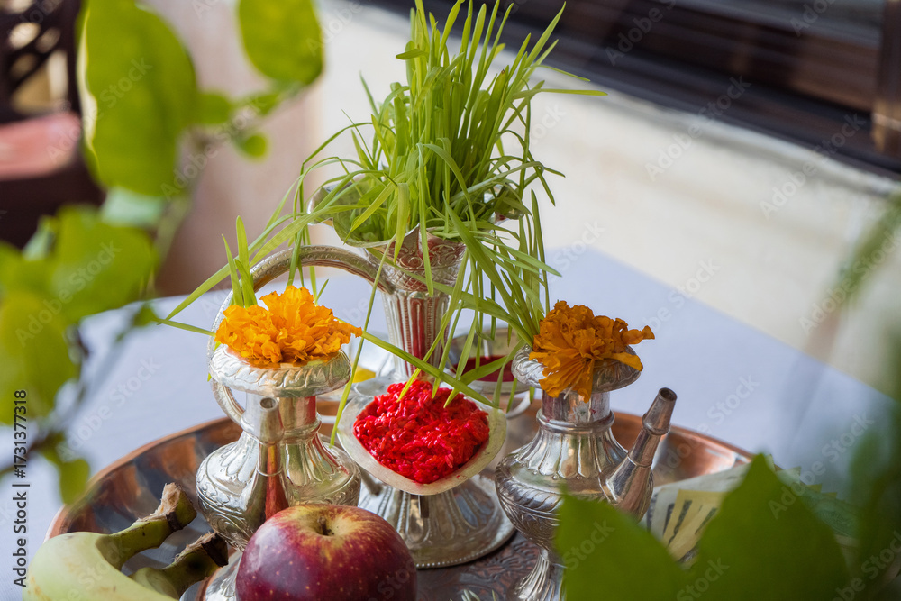 Tika and Jamara placed in a silver utensil with barley sprouts, money ...