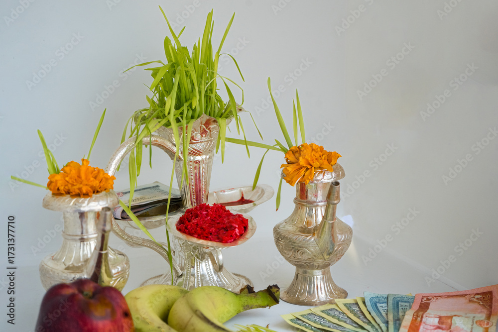 Tika and Jamara placed in a silver utensil with barley sprouts, money ...