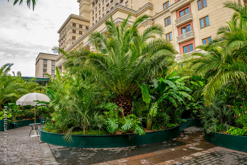 Tropical Garden Outside of Four Seasons Hotel on Manege Square, Moscow ...