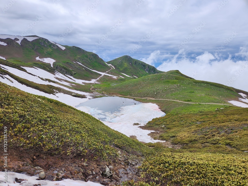 Nature of western Georgia, July 2025. Guria, located at high altitude ...