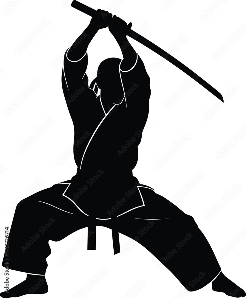 Martial arts silhouette, katana pose, traditional gi, defensive stance ...