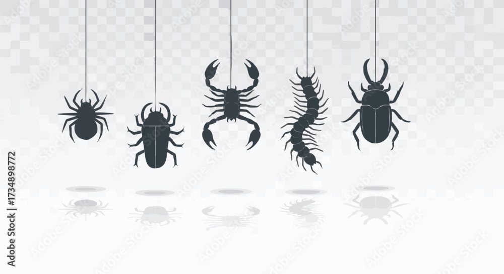 Silhouettes of various insects hanging from strings against a ...