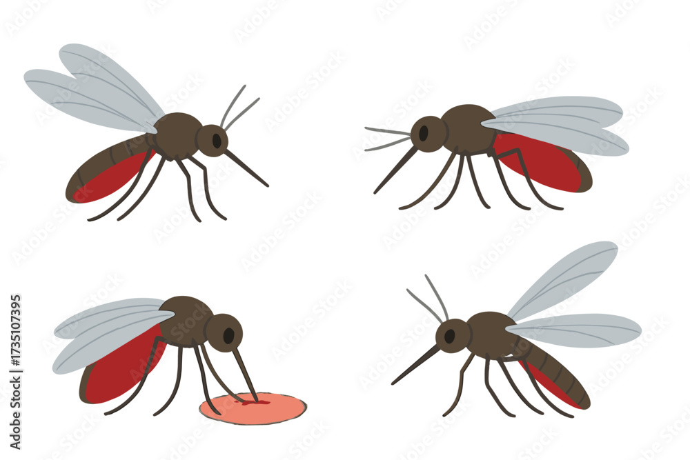 Mosquito insect pest set. Flying, blood-sucking mosquitoes collection ...
