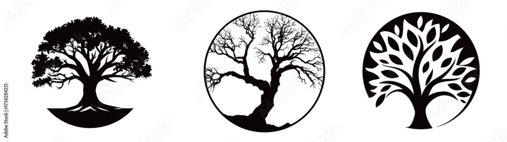 Three distinct tree illustrations show various tree forms and styles ...