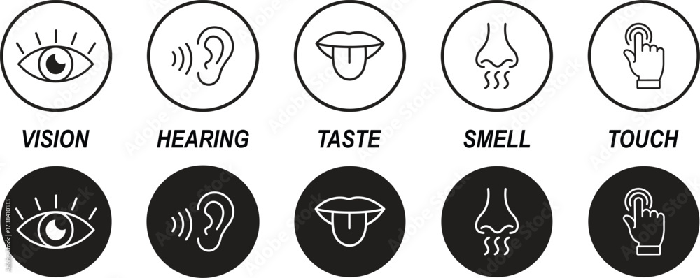 Human senses icon set. Five human senses icons isolated on transparent ...