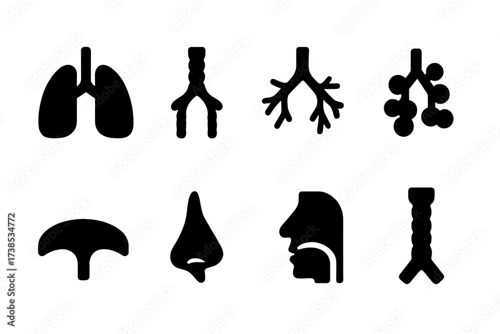 Respiratory System Icons. Solid, filled icon set of respiratory system ...