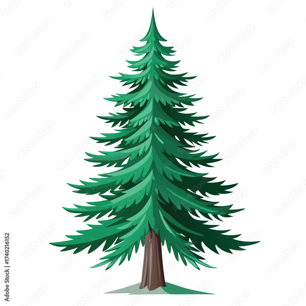Fraser fir with excellent needle retention, dark green color, and a ...