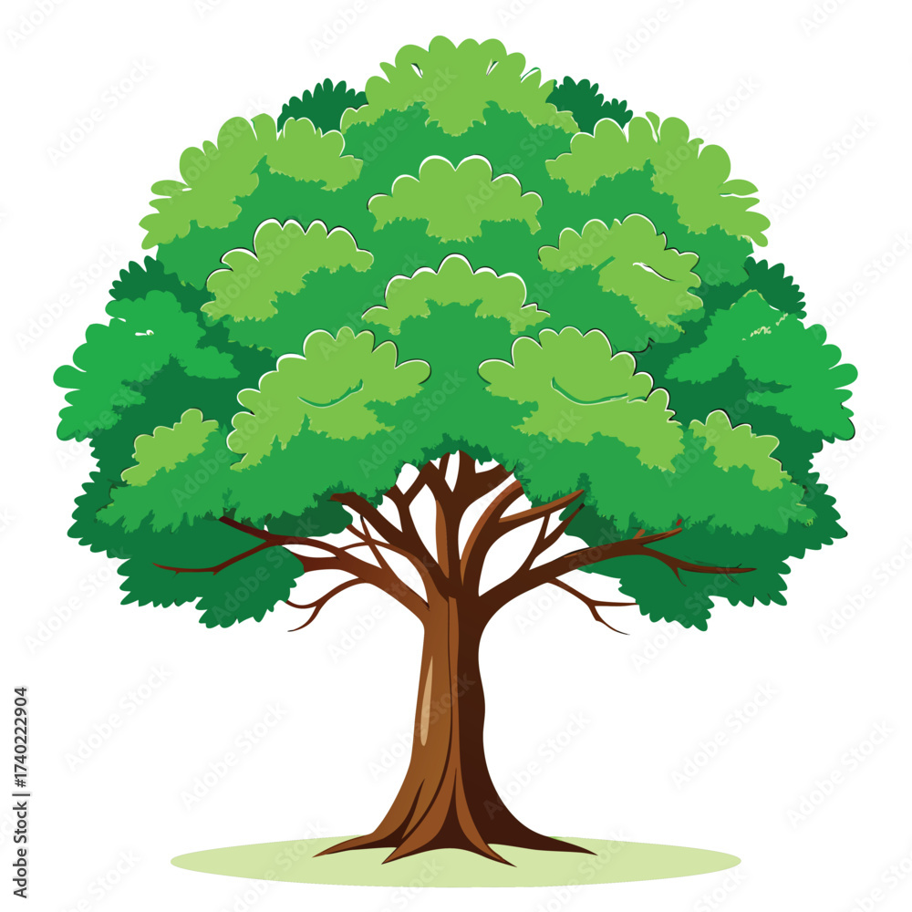 Pin oak tree featuring a strong pyramidal shape and characteristic ...