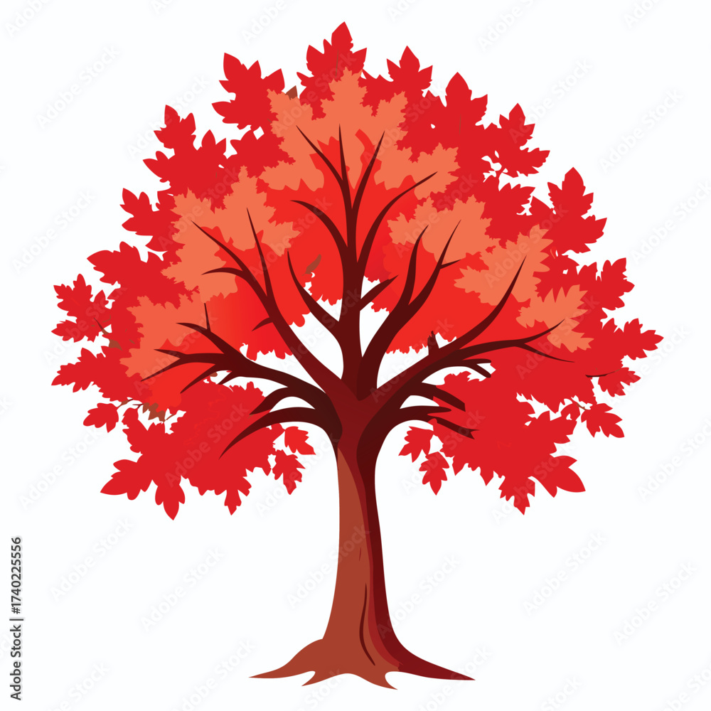 Scarlet oak displaying intense, brilliant red fall foliage and deep ...