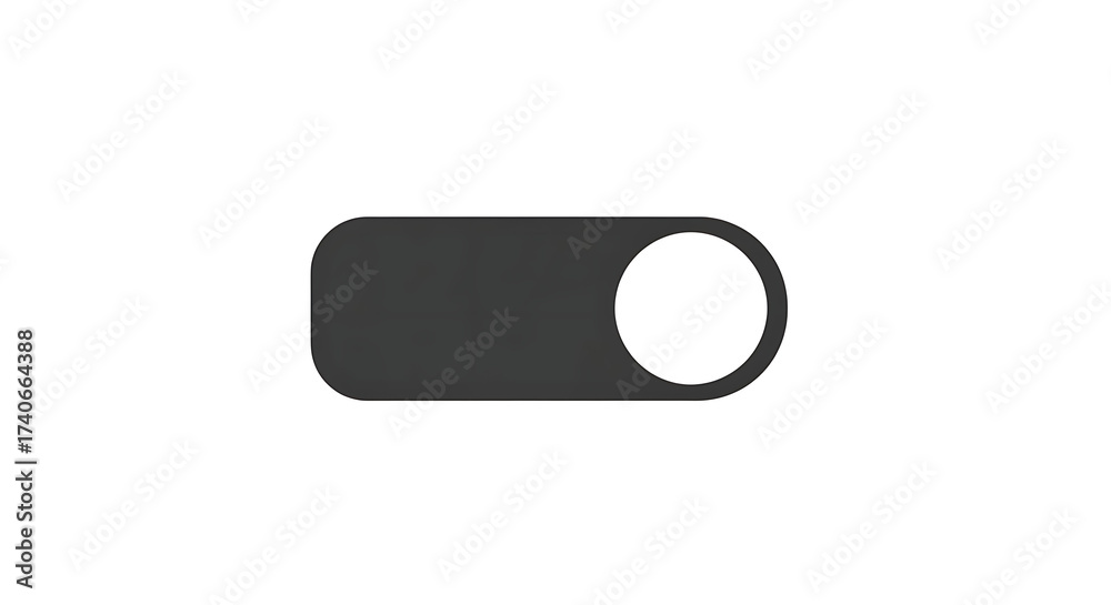 A gray toggle switch with a white circle on the right side on a white ...