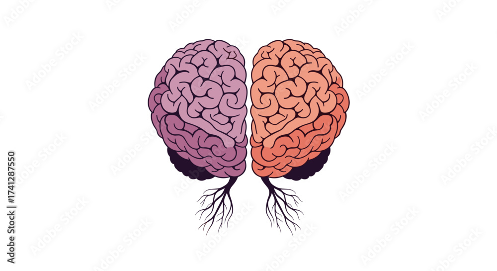Understanding the human brain's left and right hemispheres and their ...