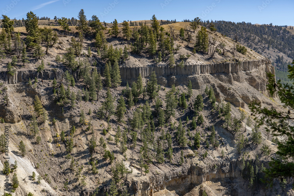 Columnar-jointed lava flow in the wall of the Yellowstone River canyon. Sediments and basalts of ...