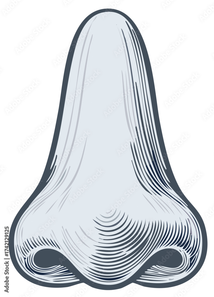 Detailed vintage engraved style illustration of a human nose with ...