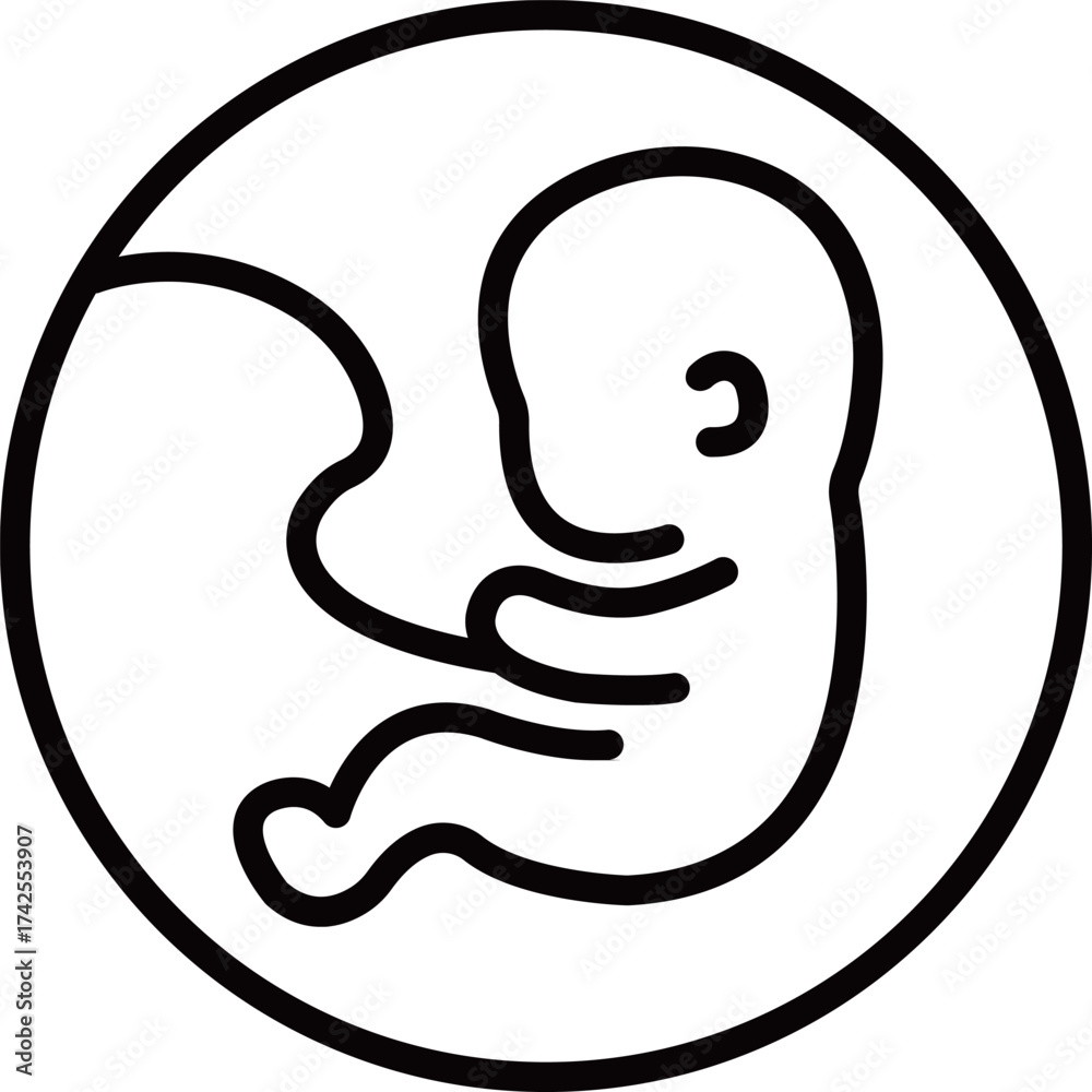 Fetal Development Stages - Full Term Fetus Outline Icon Stock Vector ...