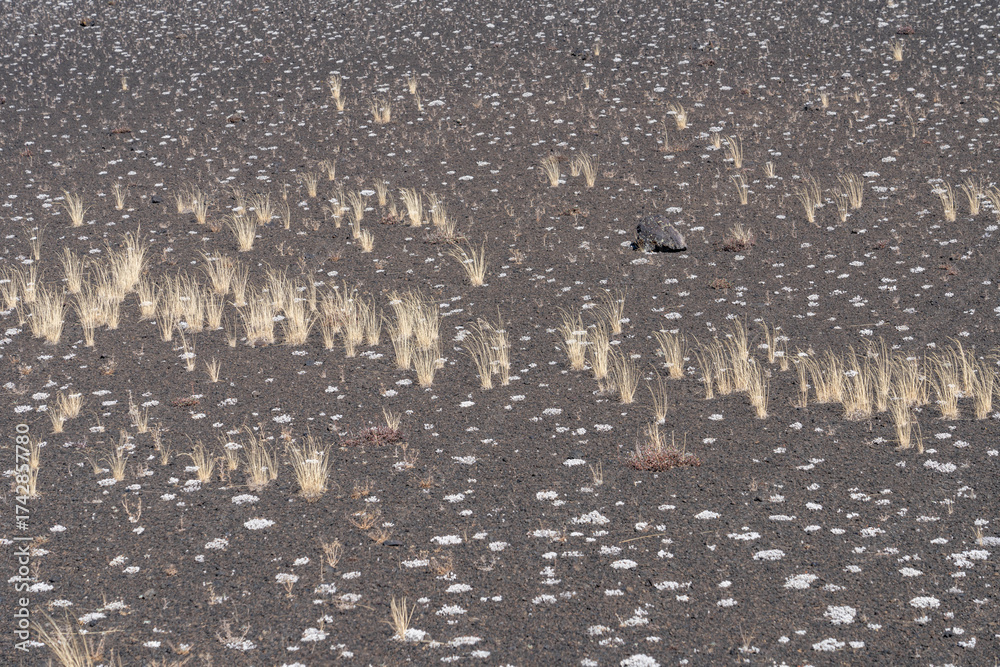 Inferno Cone. cinder / scoria. Craters of the Moon National Monument ...