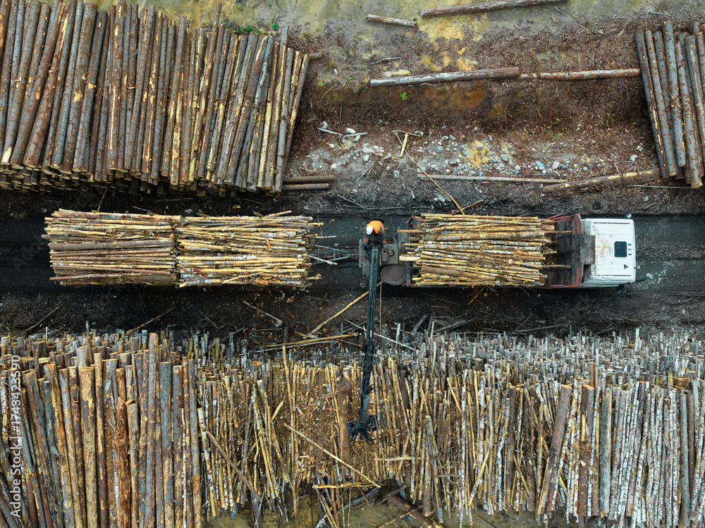 Timber storage area with truck loading logs from a pile at a temporary ...
