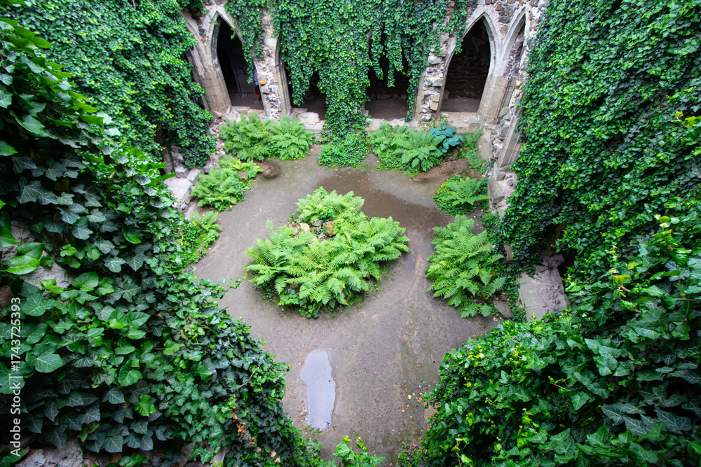 Photo Stock Beautiful archway in the ruins of the convent called Rosa ...