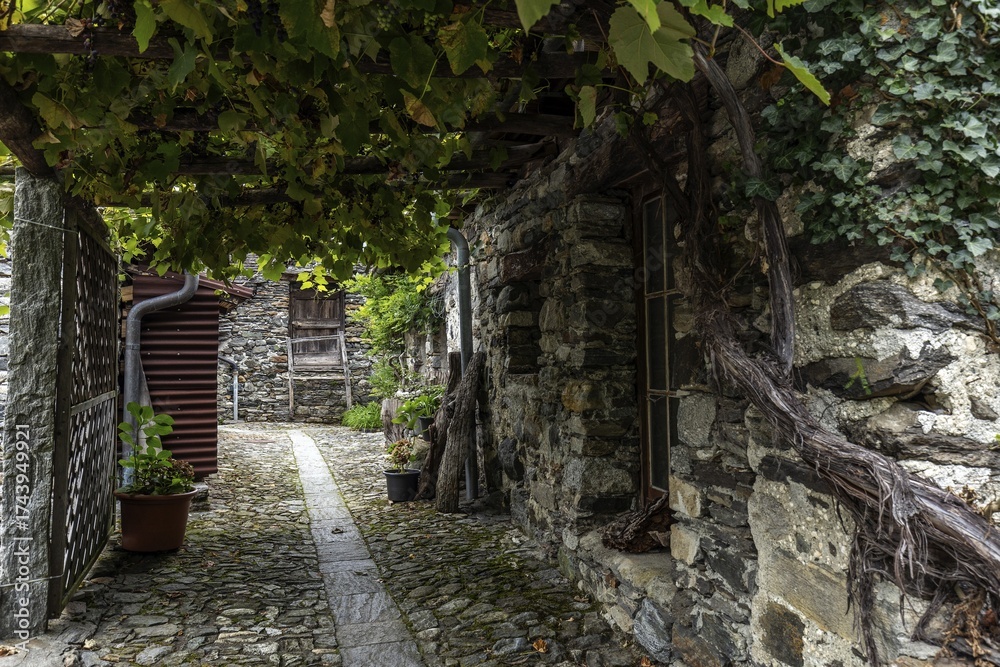 Typical Ticino stone houses in the mountain village of Bordei ...