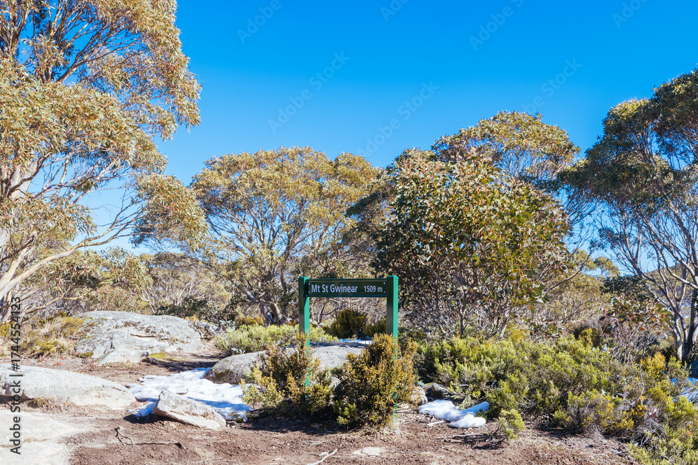 Mt St Gwinear in Baw Baw Shire Australia Stock Photo | Adobe Stock