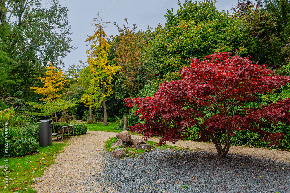 Wonderful autumn views of Amstelpark. Amstelpark located between Amstel ...