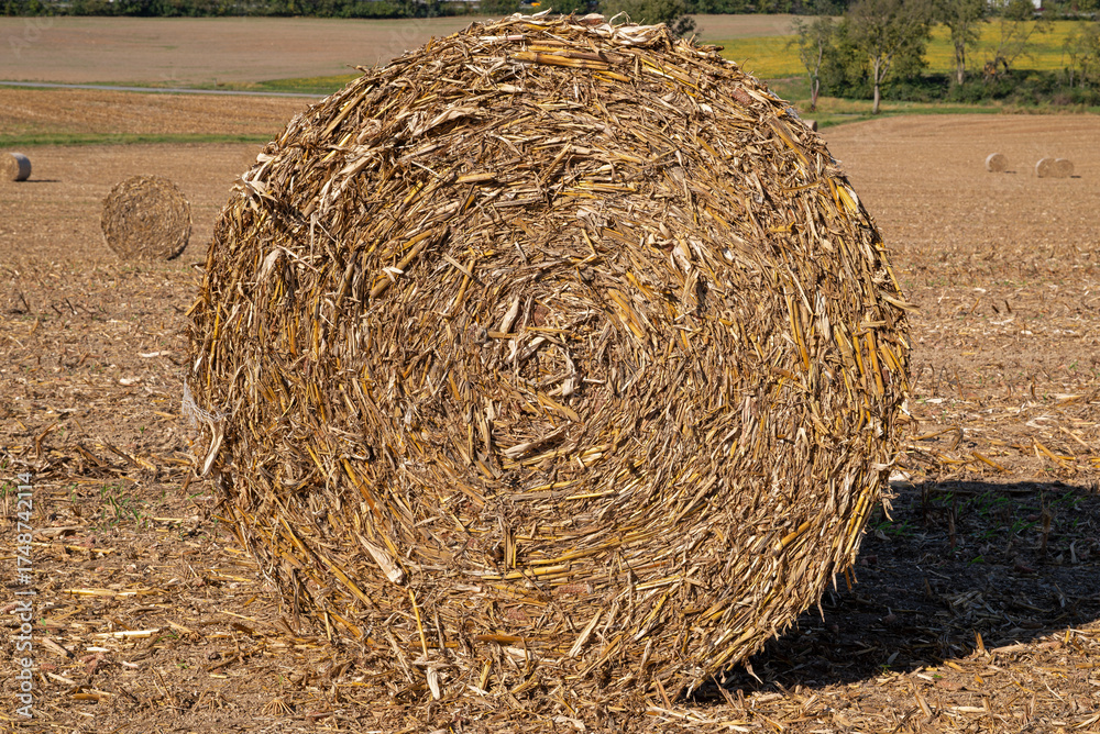 Rolled corn stubble, also known as corn stover, refers to the stalks ...