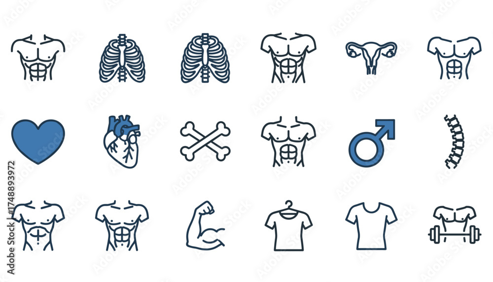 Stock-Vektorgrafik „Male anatomy and fitness icon set. Vector ...