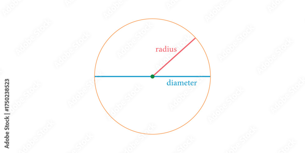 Diameter and Radius in Circle. Stock Vector | Adobe Stock
