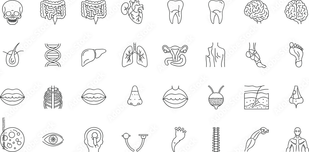 Human anatomy icons, medical symbols, skull, brain, heart, lungs ...