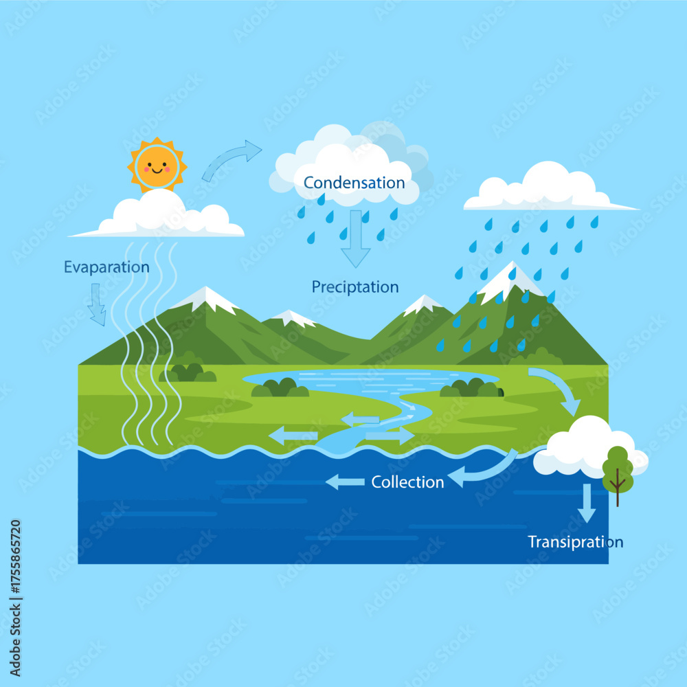 Simple Water Cycle Diagram Showing Evaporation, Condensation ...