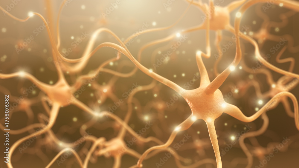 Neuron cells viewed under the microscope, Synaptic Transmission In The ...